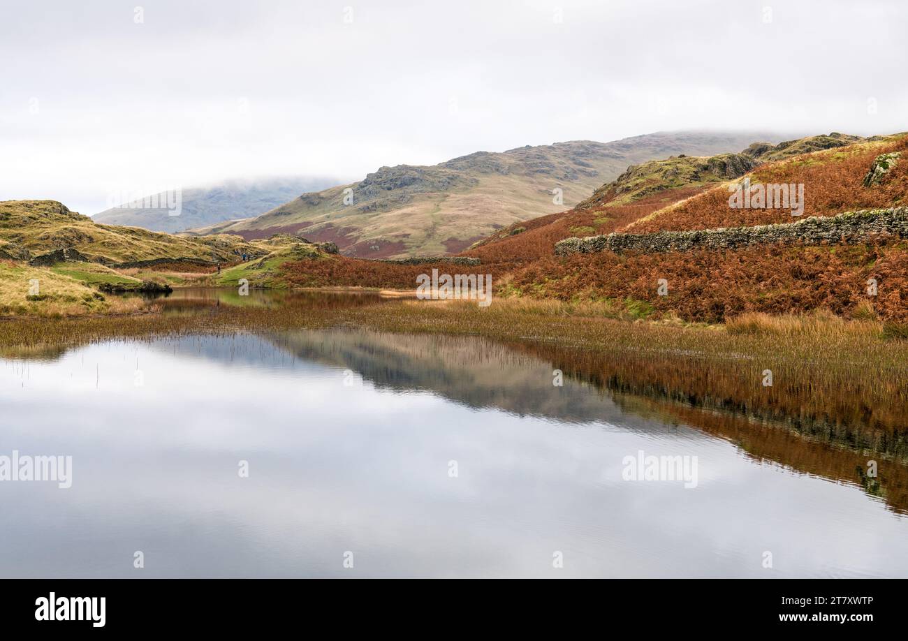 Alcock Tarn, near Grasmere, Lake District National Park, UNESCO World ...