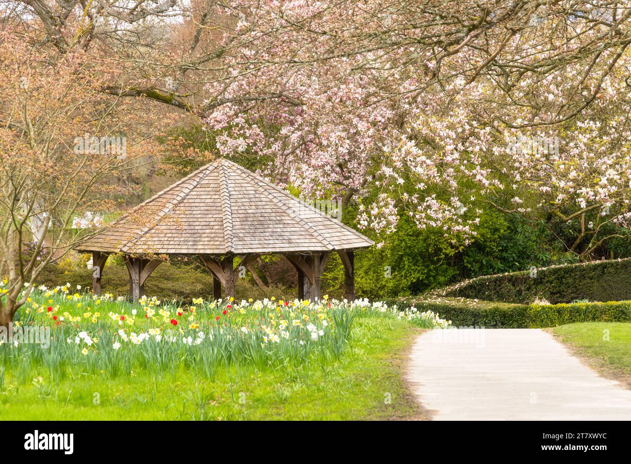 Spring in Hever Castle gardens, Kent, England, United Kingdom, Europe ...
