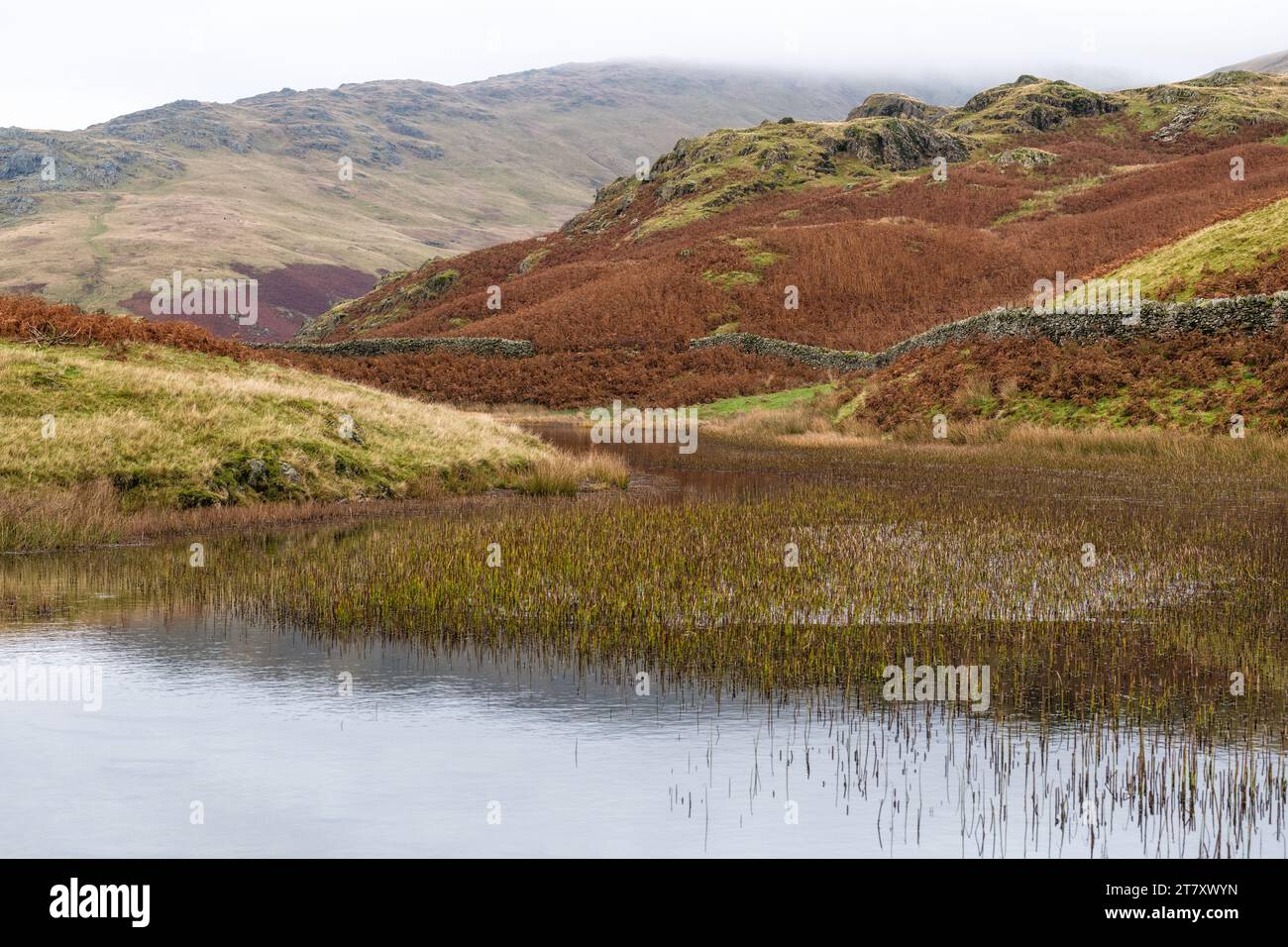 Alcock Tarn, near Grasmere, Lake District National Park, UNESCO World ...
