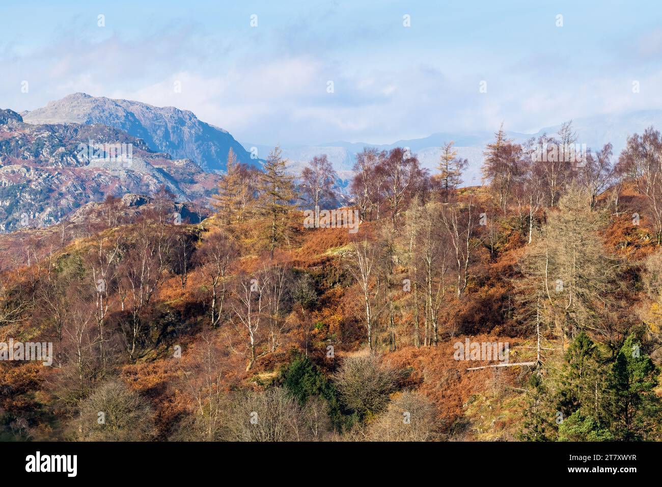 The Langdale Pikes above Tom Heights as seen from Tarn Hows, Lake ...