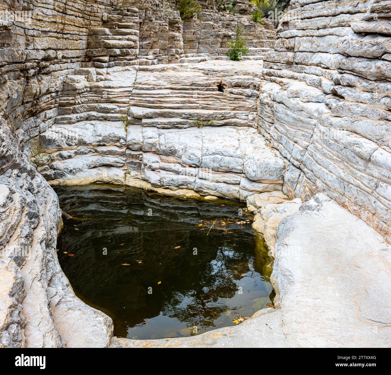 Stagnant water pool hi-res stock photography and images - Alamy