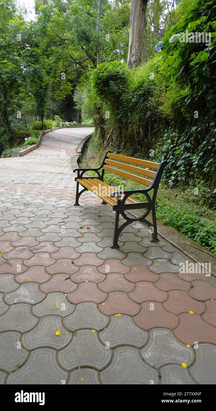 Beautiful scenic garden of Kodaikanal Bryant Park. One of the must ...