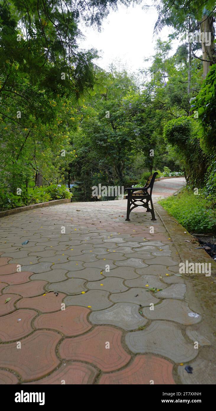 Beautiful scenic garden of Kodaikanal Bryant Park. One of the must ...