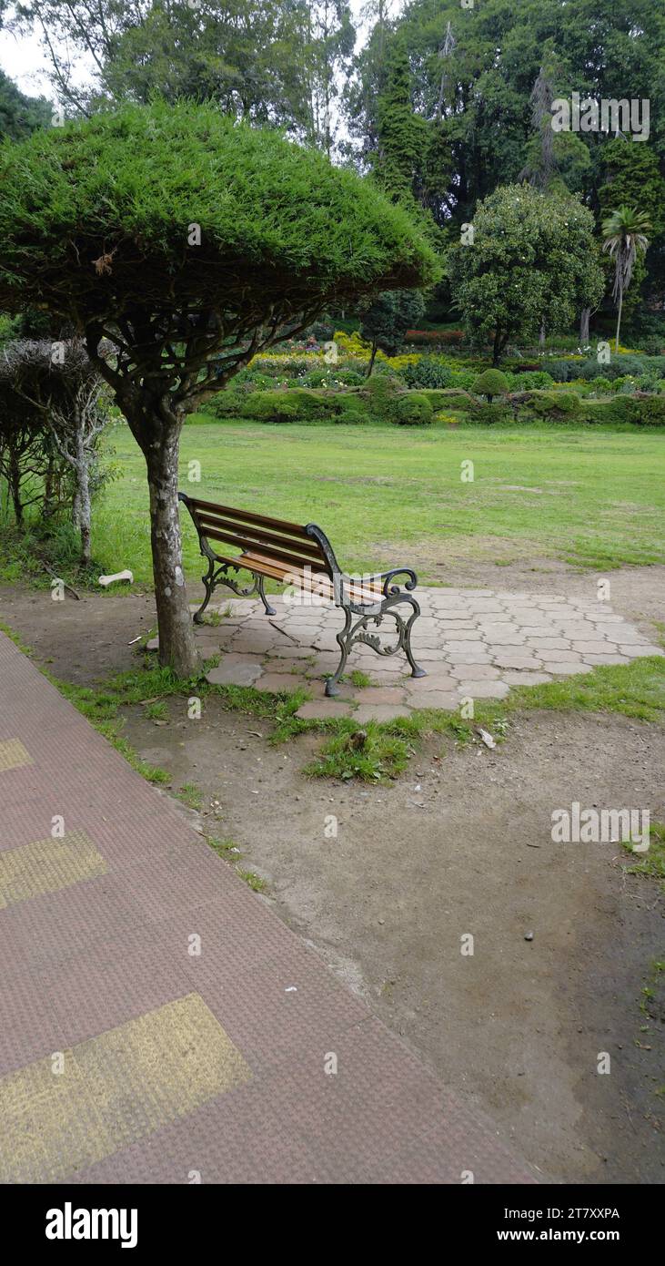 Beautiful scenic garden of Kodaikanal Bryant Park. One of the must ...