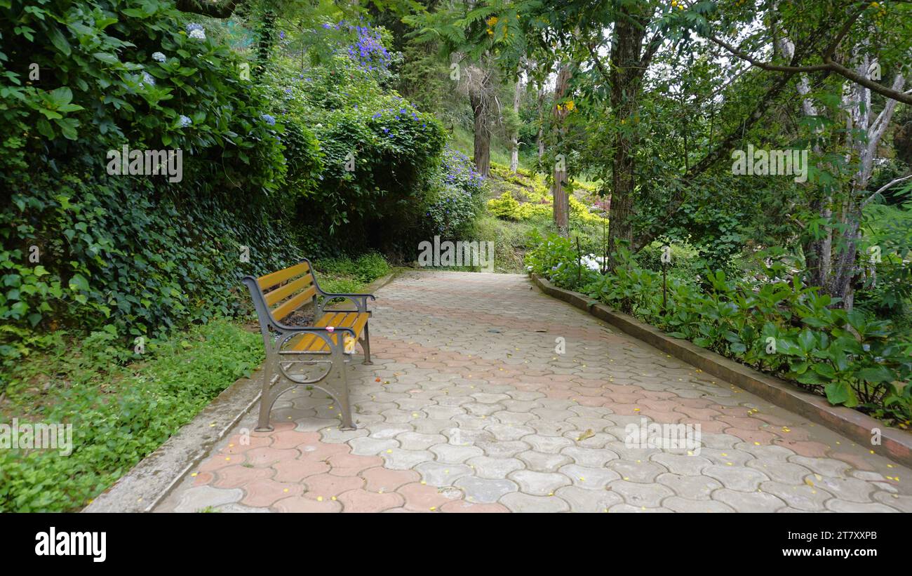 Beautiful scenic garden of Kodaikanal Bryant Park. One of the must ...