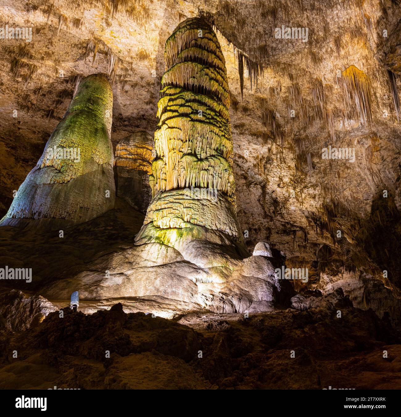 The Hall of Giants Formation in The Big Room Carlsbad Caverns National ...