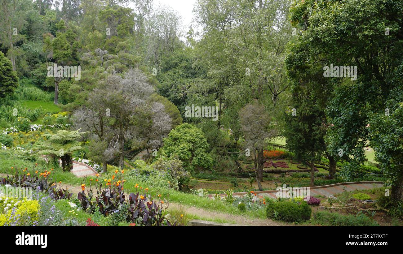 Beautiful scenic garden of Kodaikanal Bryant Park. One of the must ...