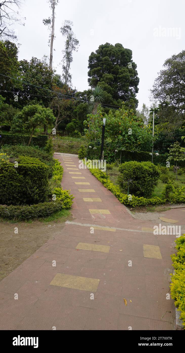 Beautiful scenic garden of Kodaikanal Bryant Park. One of the must ...