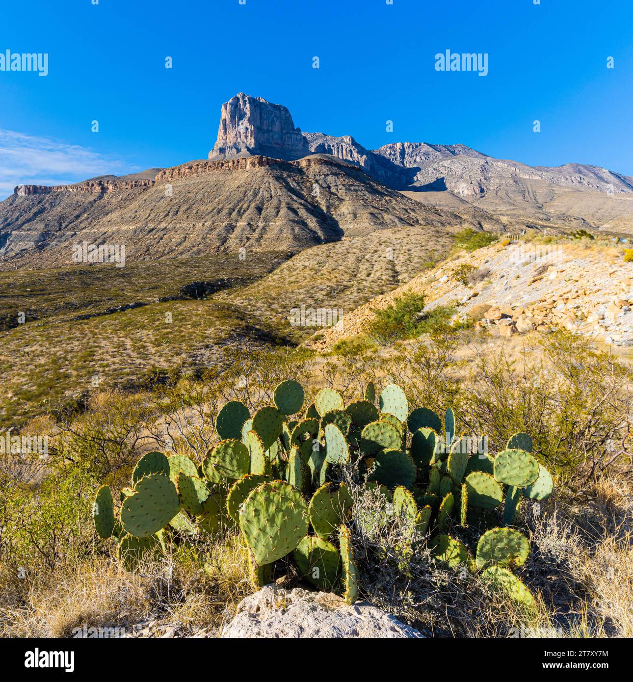 El Capitan and The Guadalupe Mountains, Guadalupe Mountains National ...