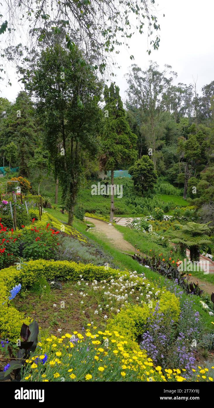 Beautiful scenic garden of Kodaikanal Bryant Park. One of the must ...