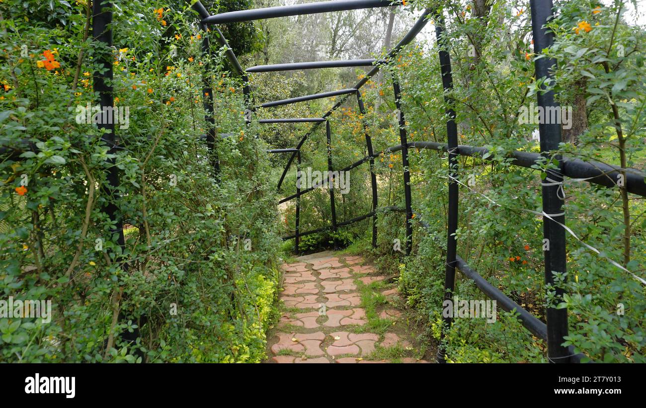 Beautiful scenic garden of Kodaikanal Bryant Park. One of the must ...