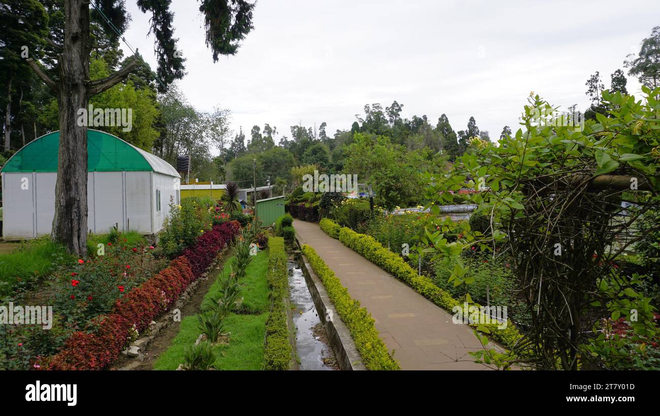 Beautiful scenic garden of Kodaikanal Bryant Park. One of the must ...