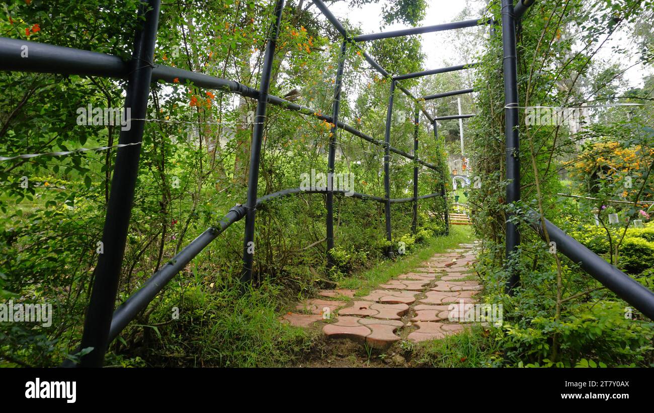 Beautiful scenic garden of Kodaikanal Bryant Park. One of the must ...