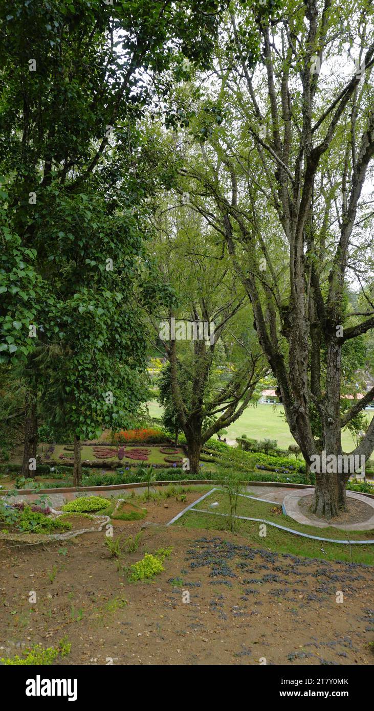 Beautiful scenic garden of Kodaikanal Bryant Park. One of the must ...