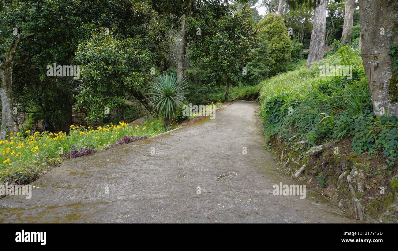 Beautiful scenic garden of Kodaikanal Bryant Park. One of the must ...