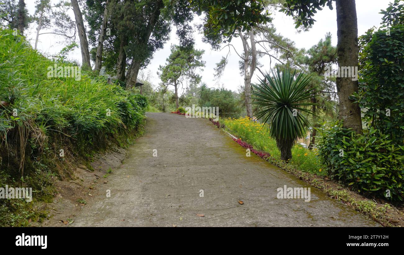 Beautiful scenic garden of Kodaikanal Bryant Park. One of the must ...