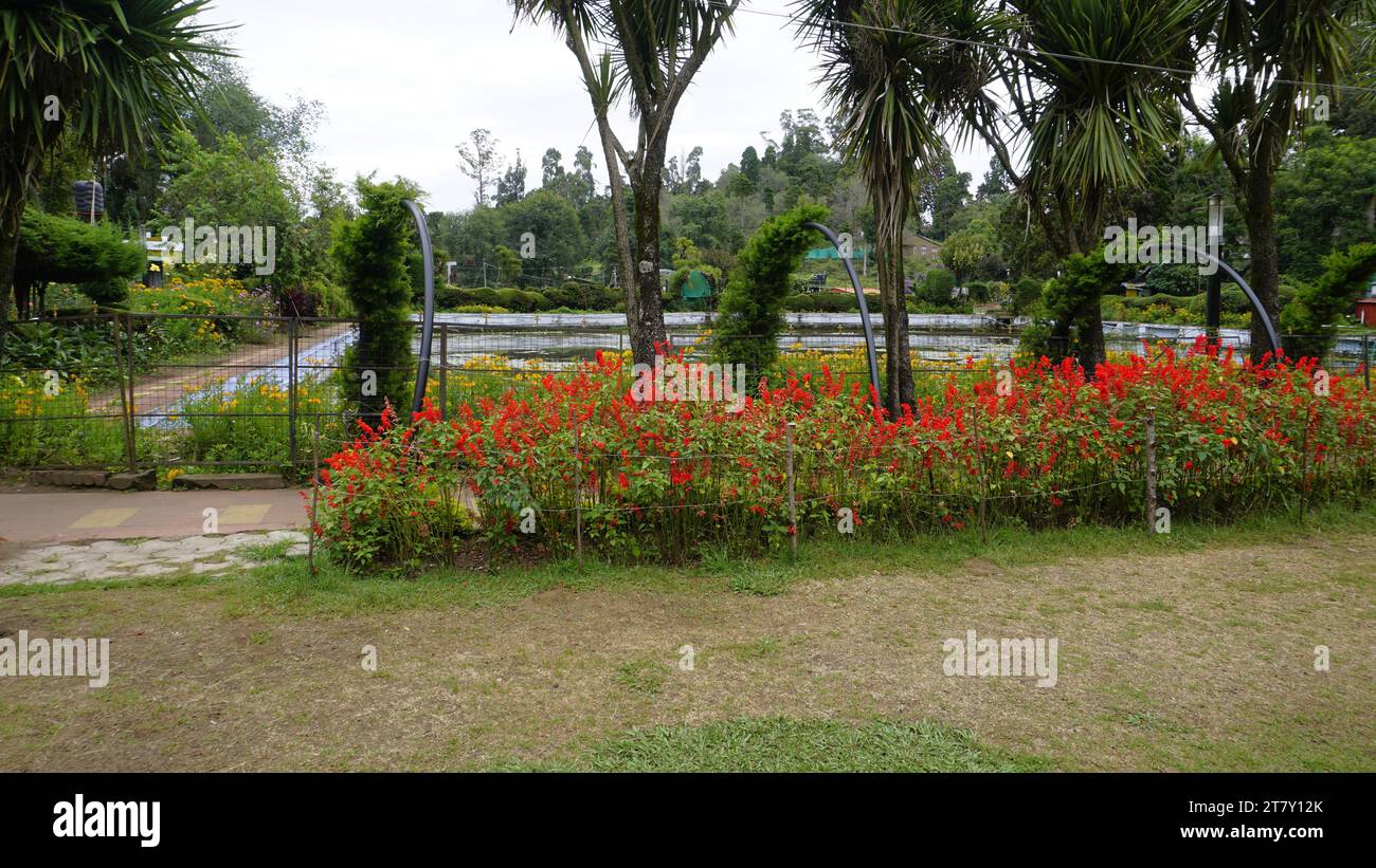 Beautiful scenic garden of Kodaikanal Bryant Park. One of the must ...