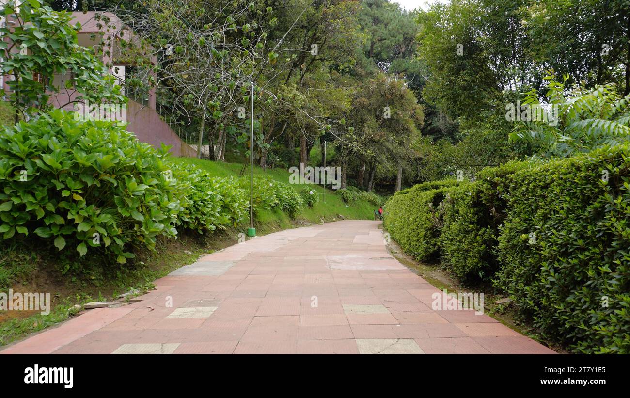Beautiful scenic garden of Kodaikanal Bryant Park. One of the must ...