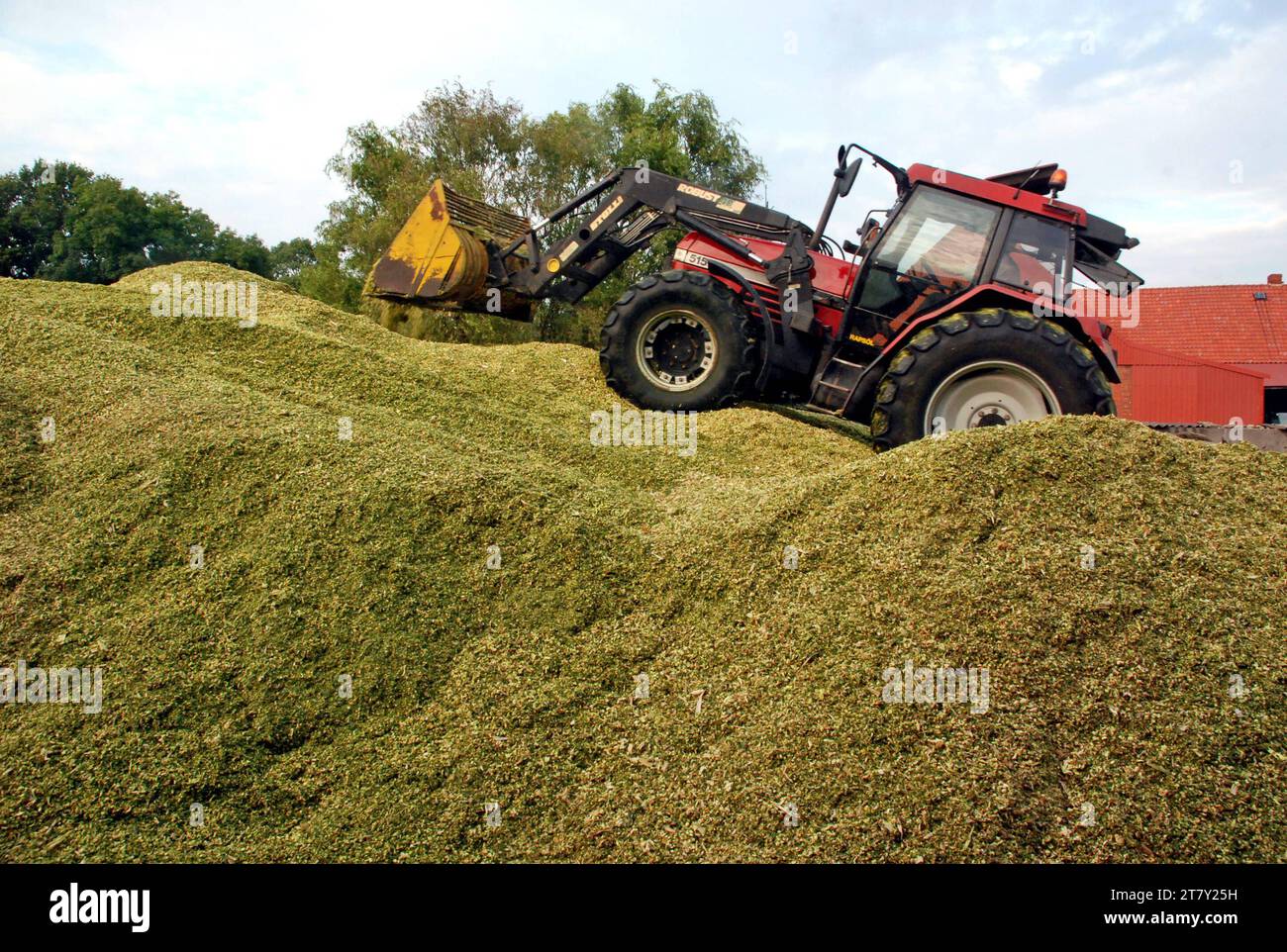 Tipping cows hi-res stock photography and images - Alamy