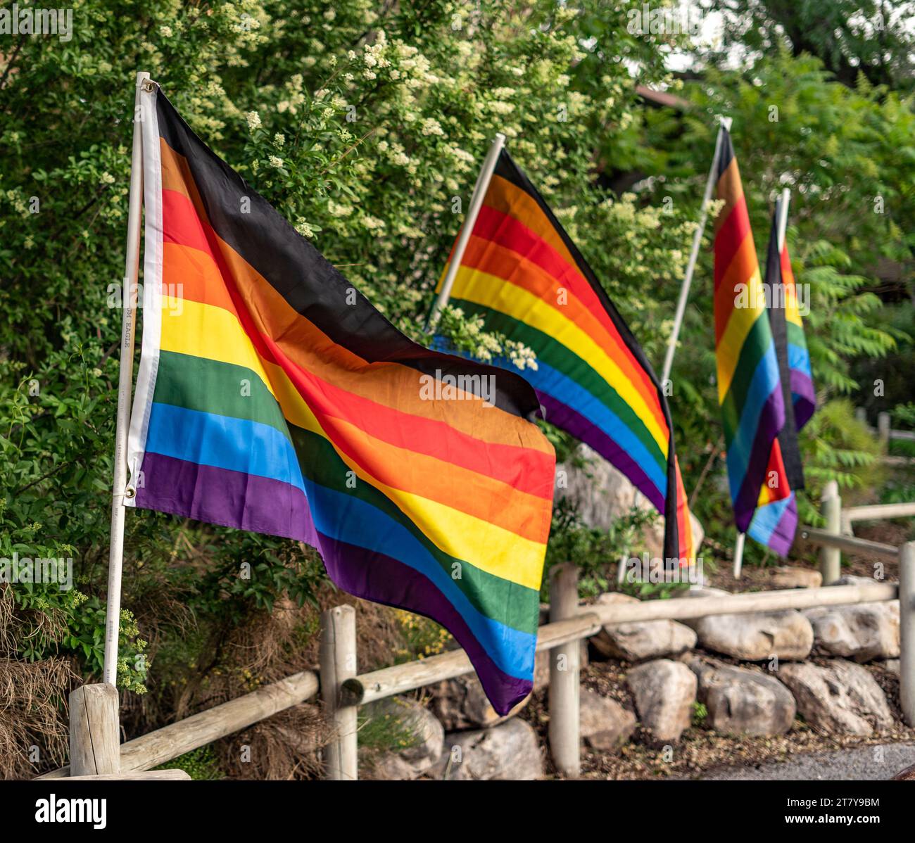 Row of Rainbow Gay Pride Flags with Black and Brown Stock Photo - Alamy