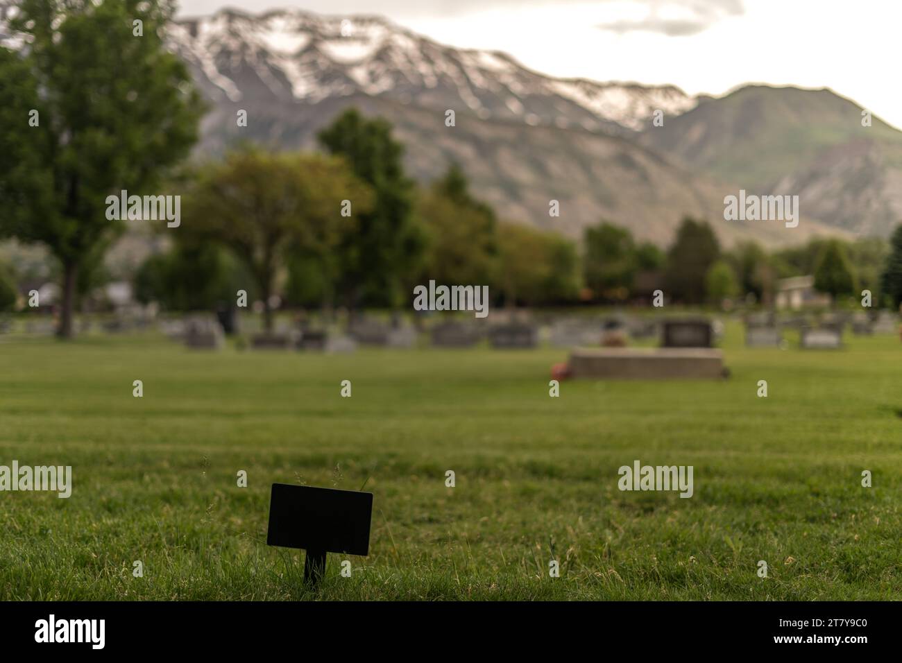 Black Blank Sign In Cemetery Park Outside Stock Photo - Alamy