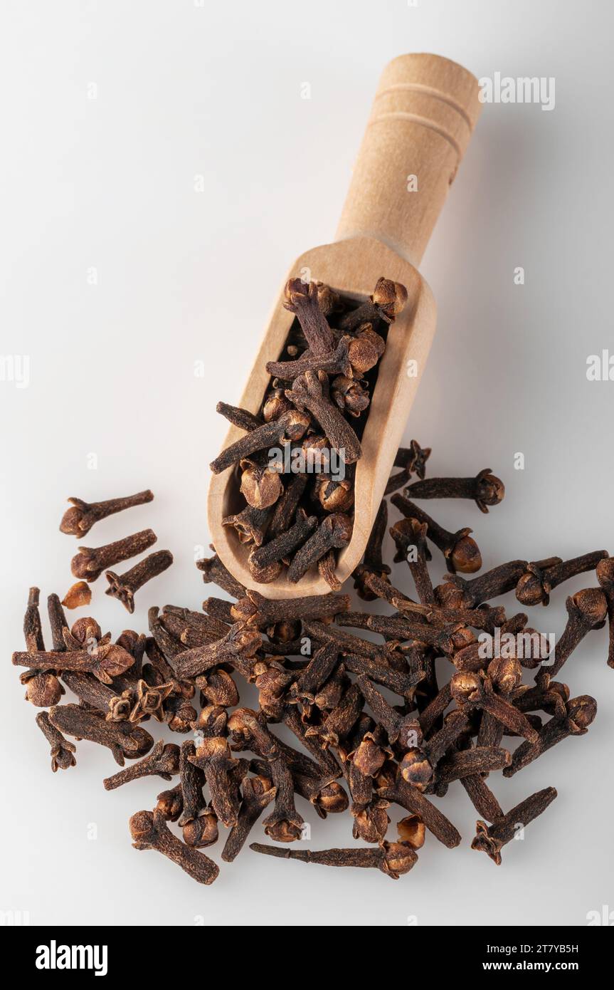Clove tree hi-res stock photography and images - Alamy