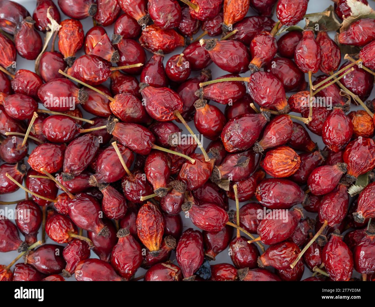 Dried rose hips on a white background. Rosehip close-up Stock Photo - Alamy