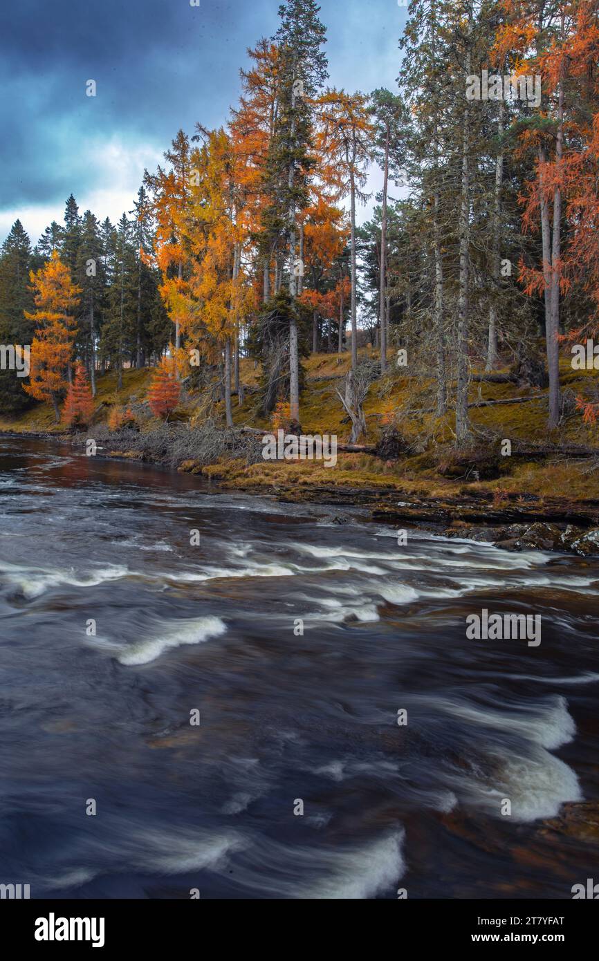 River dee autumn aberdeenshire hi-res stock photography and images - Alamy