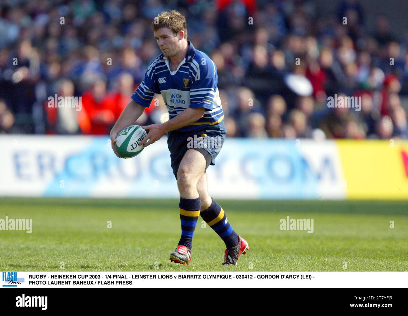 Darcygor hi-res stock photography and images - Alamy