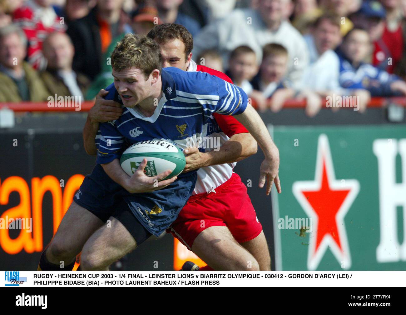 Darcygor hi-res stock photography and images - Alamy