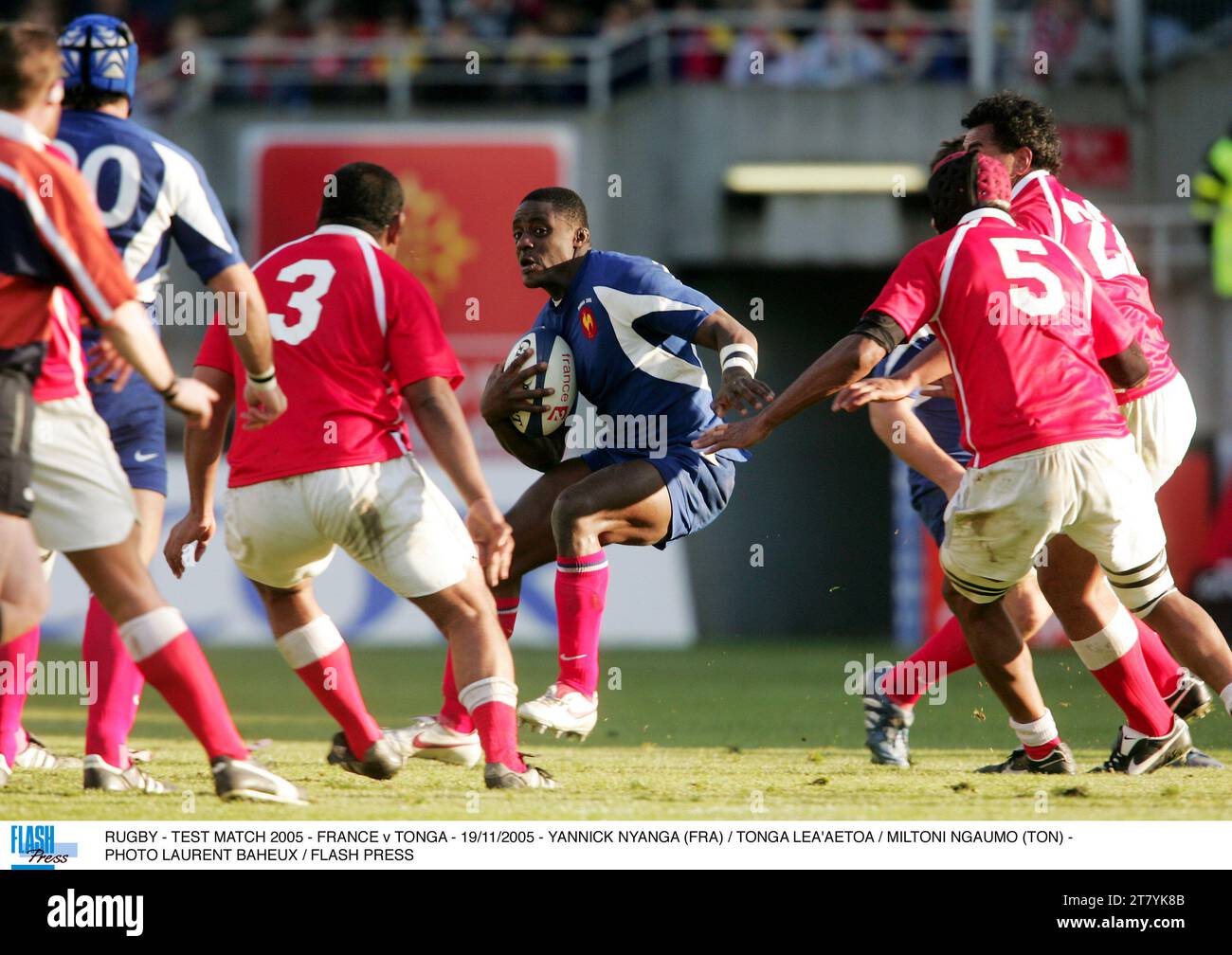 Ngaumo miltoni hi-res stock photography and images - Alamy