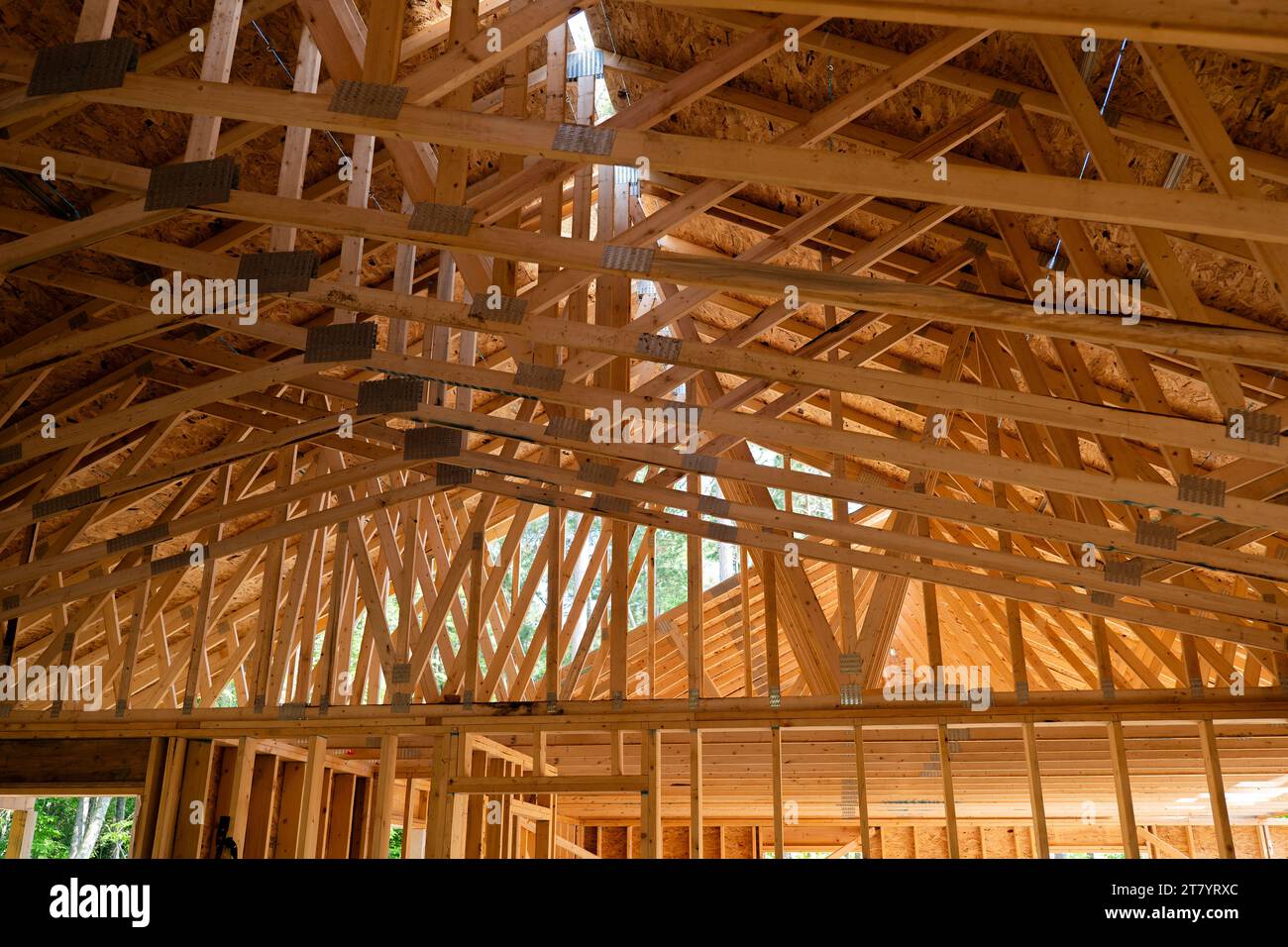 The wooden rafters above the future living area at a new home ...