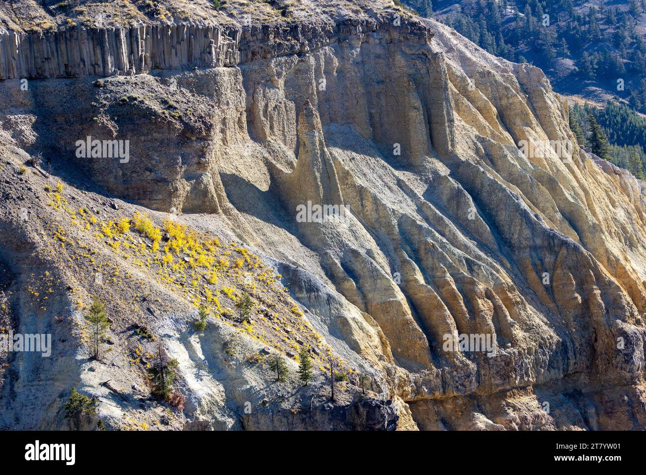 Flowers on a cliff hi-res stock photography and images - Alamy