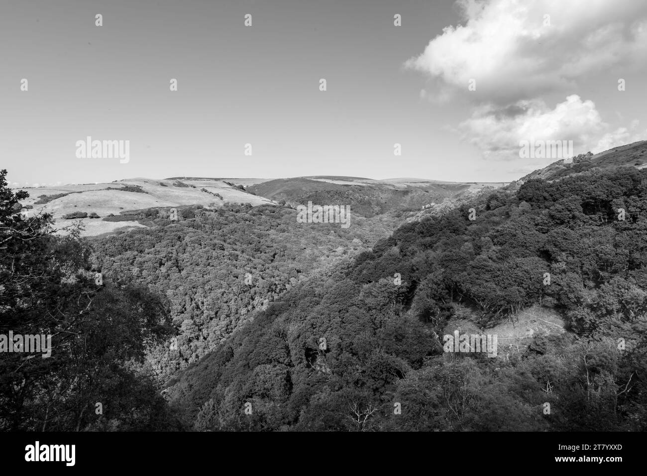 Landscape photo of Countisbury Hill and Watersmeet Valley in Exmmor ...