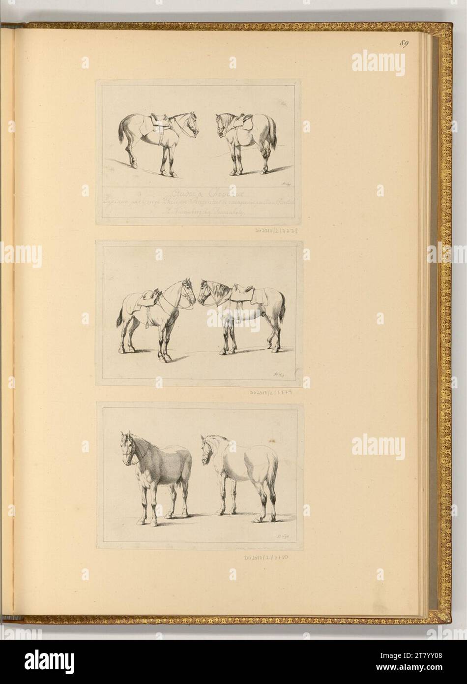 Georg Philipp Rugendas Horses. etching 1698-1699 , 1698/1699 Stock ...