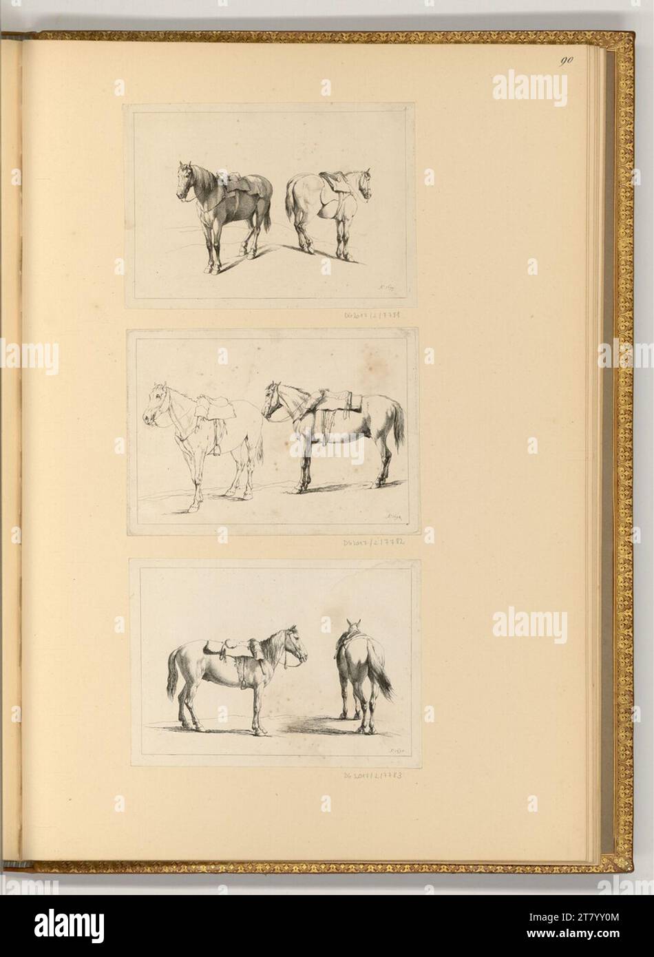 Georg Philipp Rugendas Horses. etching 1798-1799 , 1798/1799 Stock ...