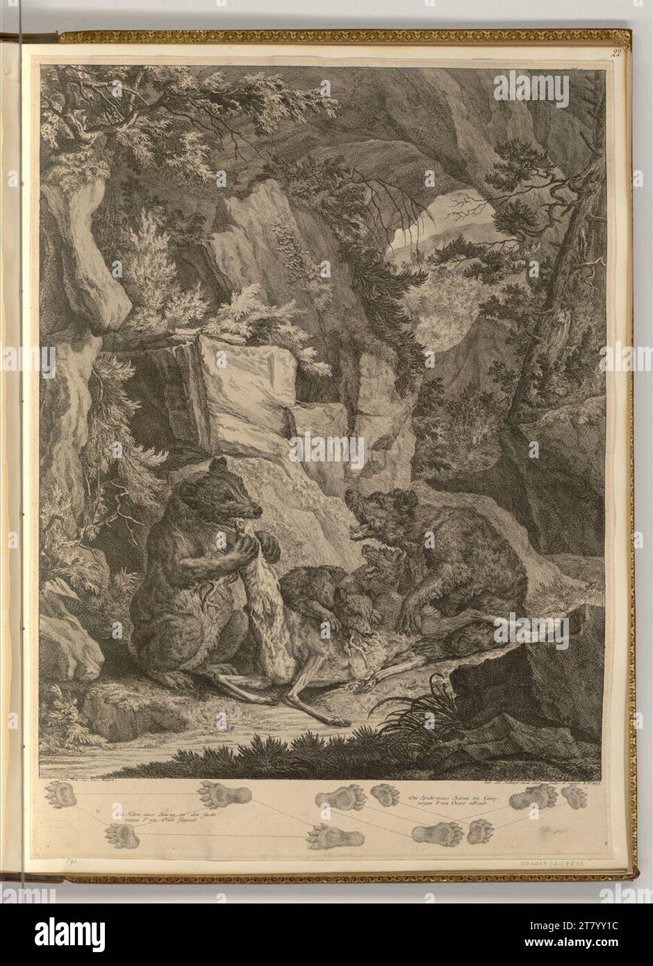 Johann Elias Ridinger (Ausführende r Künstler in) The bear family ...