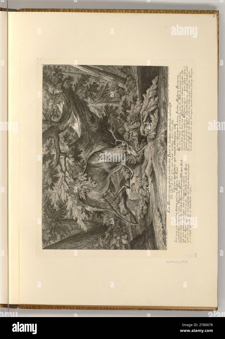 Johann Elias Ridinger (Ausführende r Künstler in) A deer of 14 elements ...