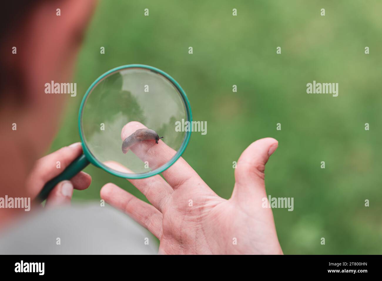 Connecting kids and nature concept. Young boy examine through ...