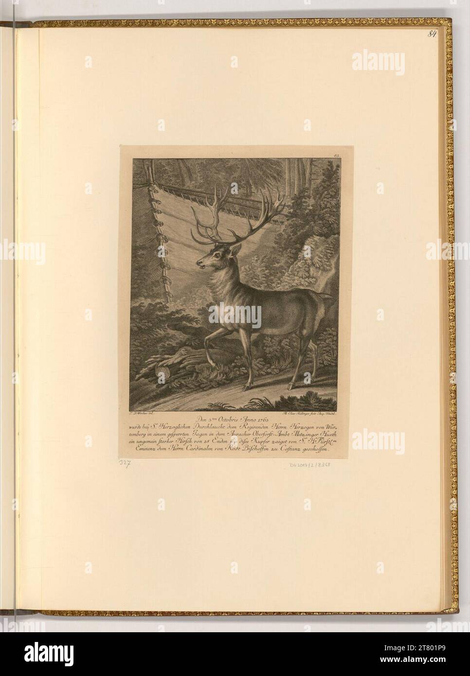 Hirsch martin hi-res stock photography and images - Alamy