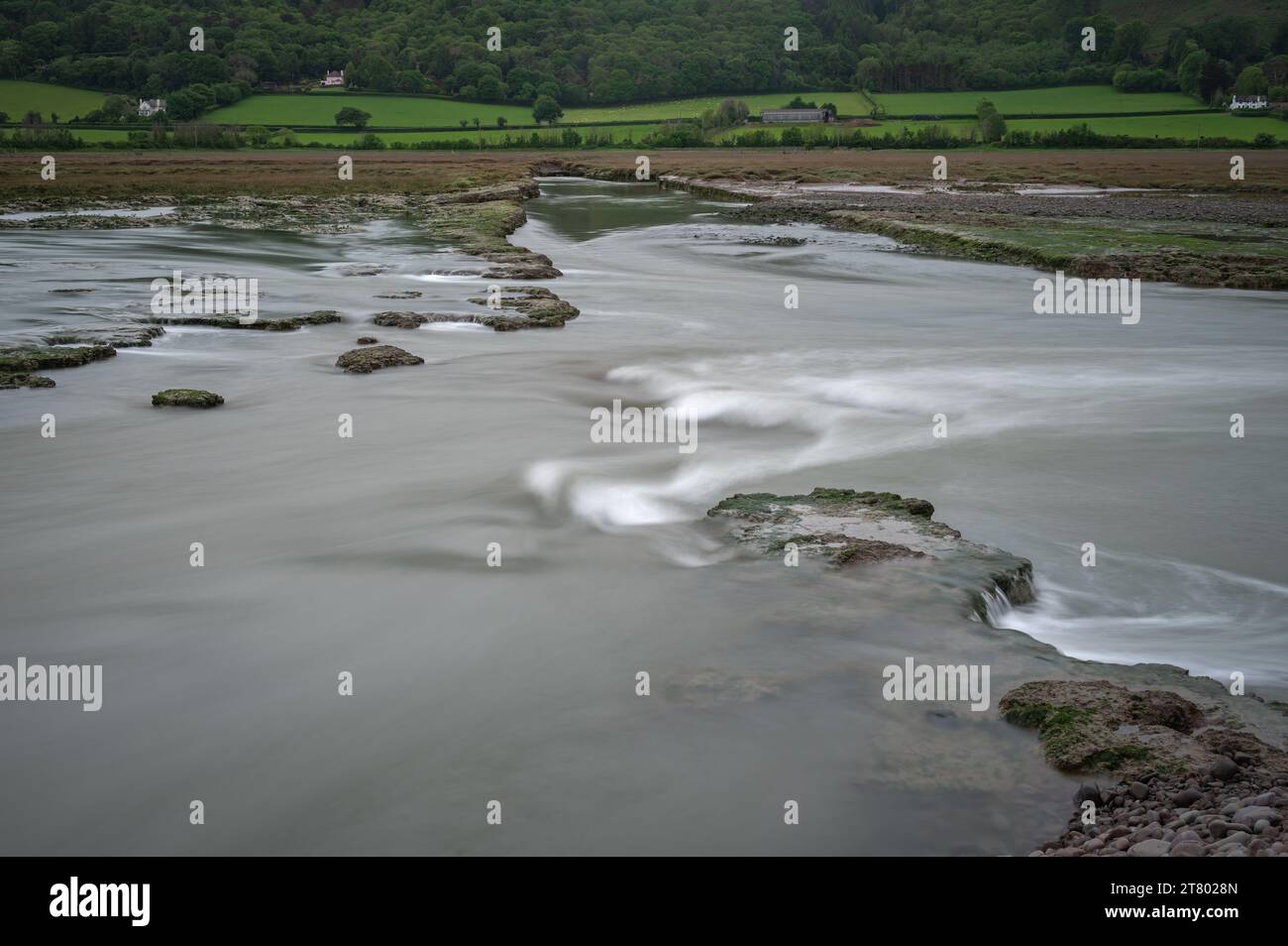Seawater in the salt marshes at Porlock Marshes, Porlock, Somerset ...