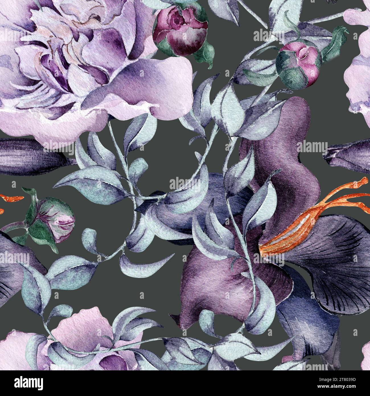 Watercolor pattern of purple peony, lily flower isolated on dark ...