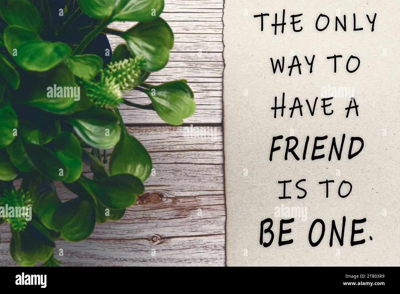 Powerful motivational quotes for success hi-res stock photography and ...