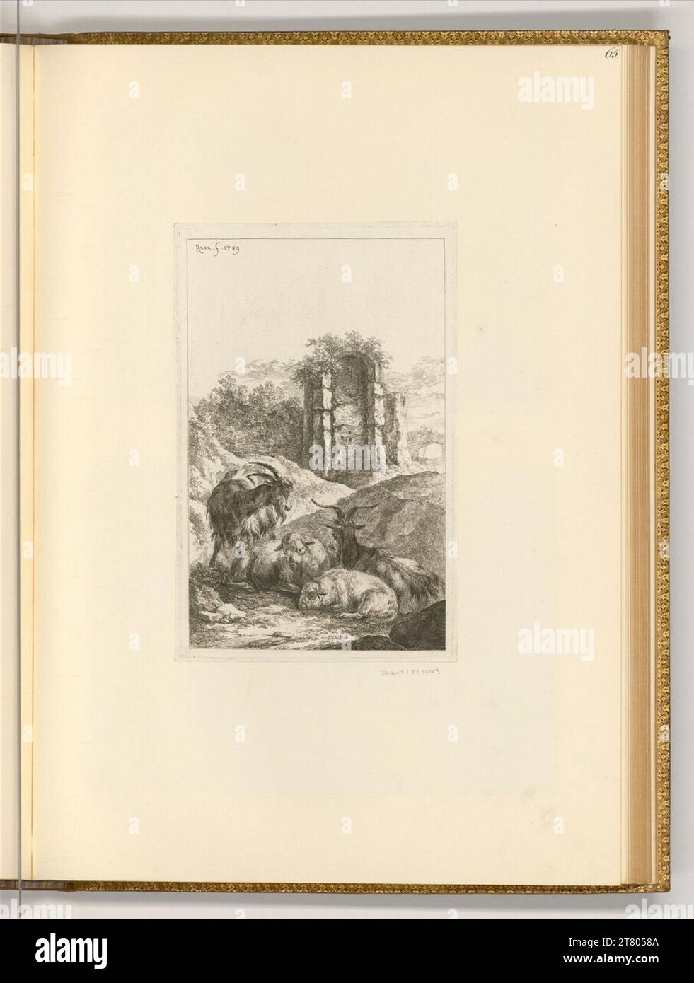 Joseph Rosa (Ausführende r Künstler in) Sheep and goats in a ruined ...