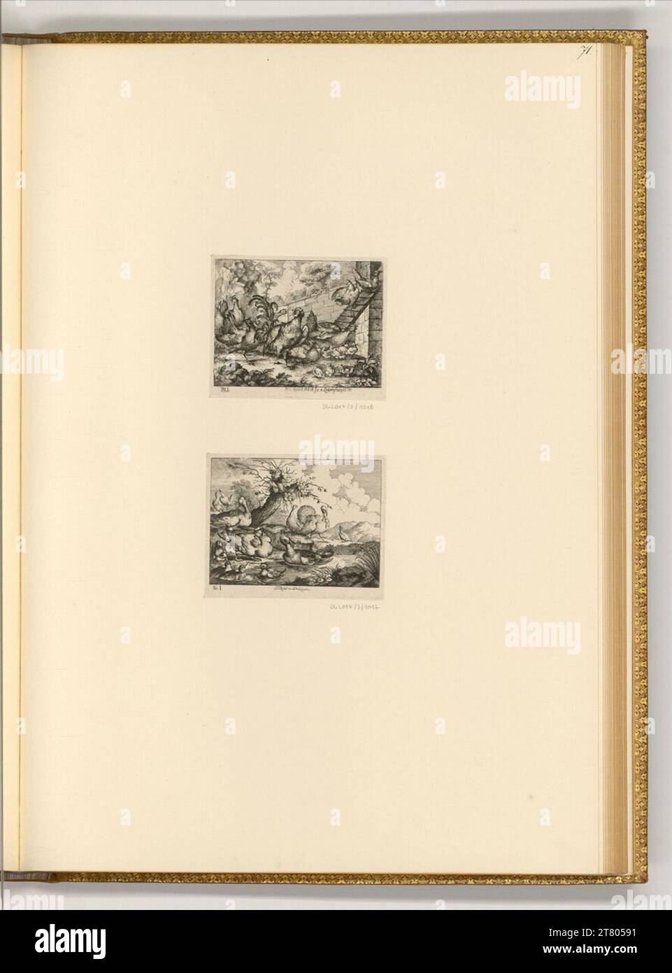 Gottlieb Friedrich Riedel (Ausführende r Künstler in) Chickens and ...