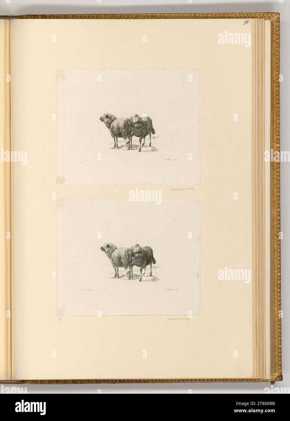 Johann Adam von Bartsch (Engraver) Aries and common sheep. etching 1815 ...