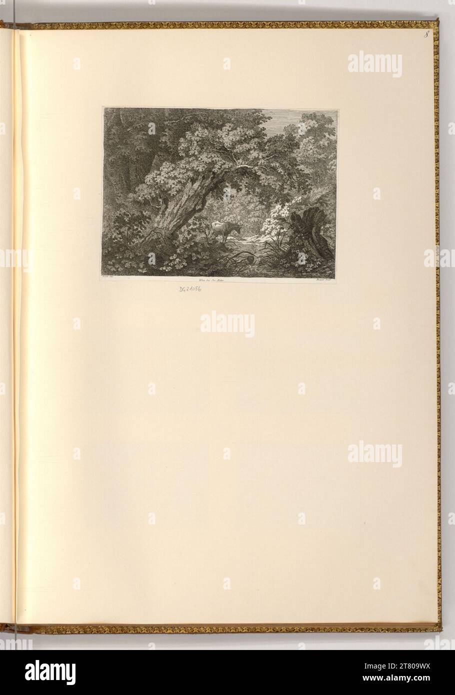 Ferdinand Runk Forest piece with cow. etching 18. - 19. Century Stock ...