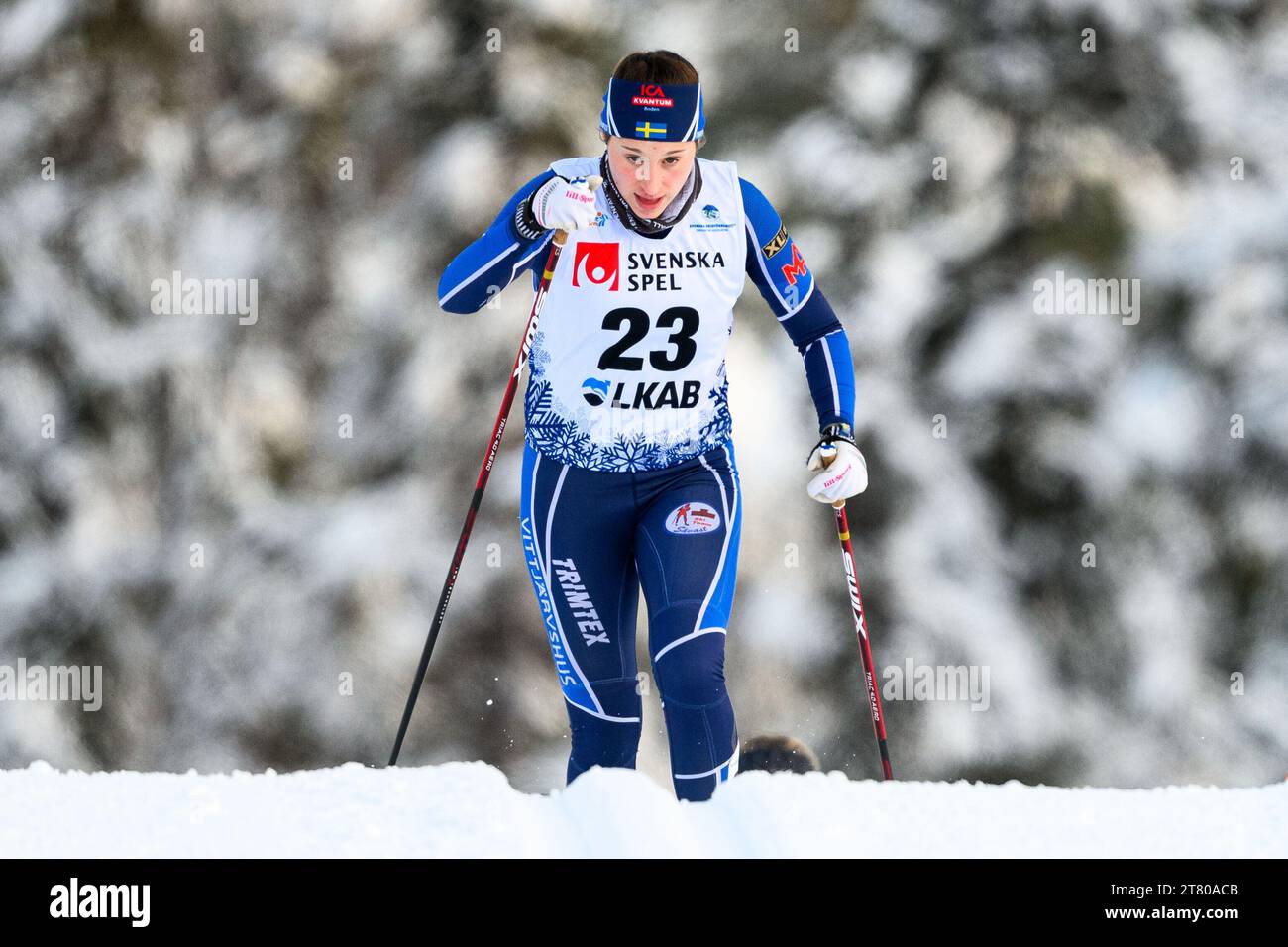 231117 Alva Isaksson, Sävast Ski tävlar i damernas kvartsfinal i sprint ...