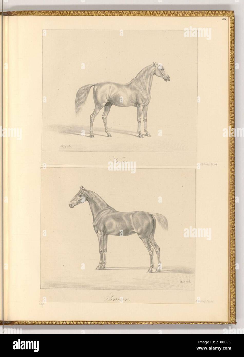 Johann Adam Klein (Ausführende r Künstler in) Horses. Lithography 1818 ...