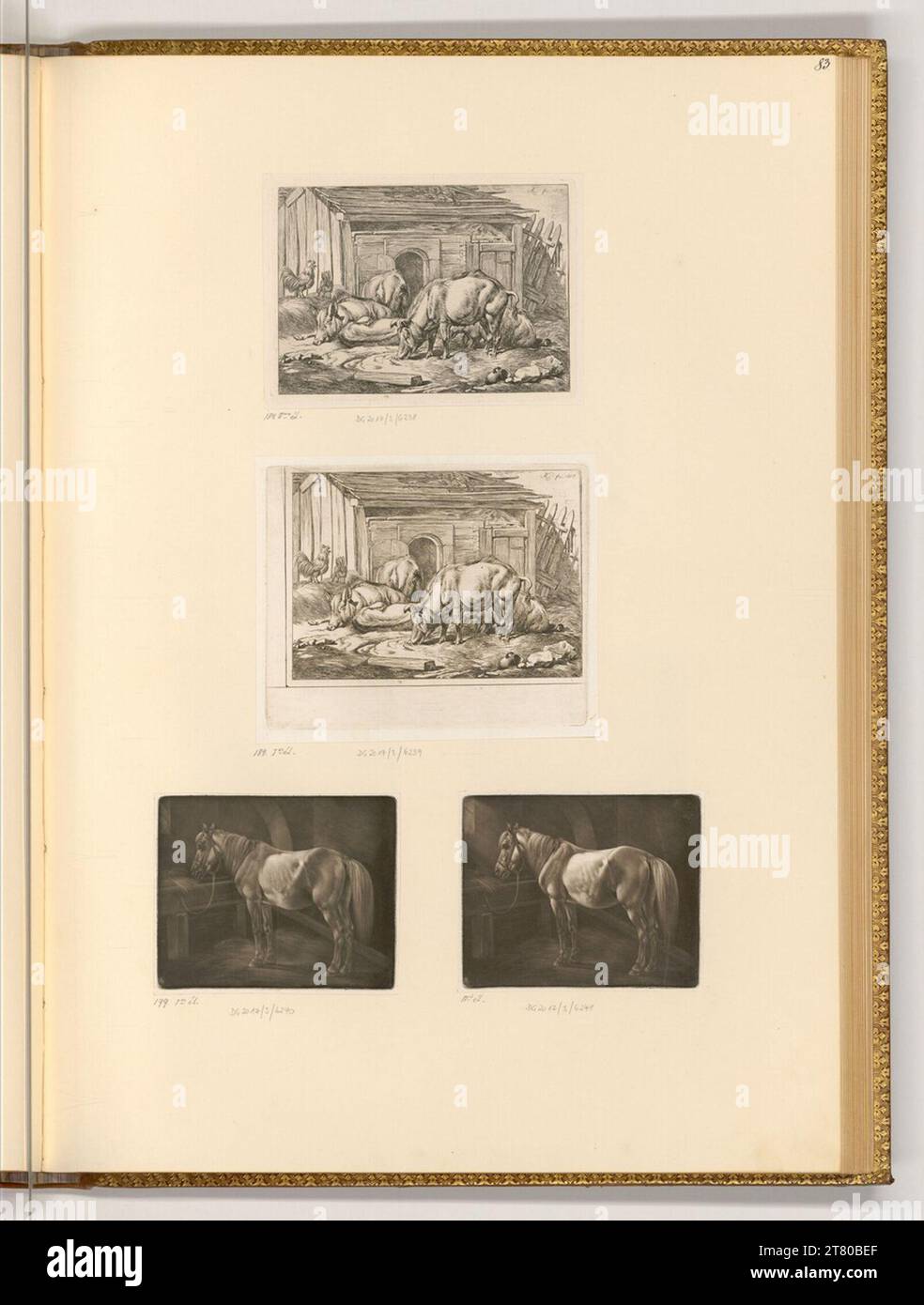 Johann Adam Klein (Ausführende r Künstler in) Pigs with stable; Horse ...